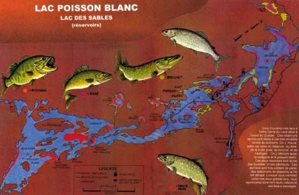 Useful Information - Lac Poisson Blanc Lake Association